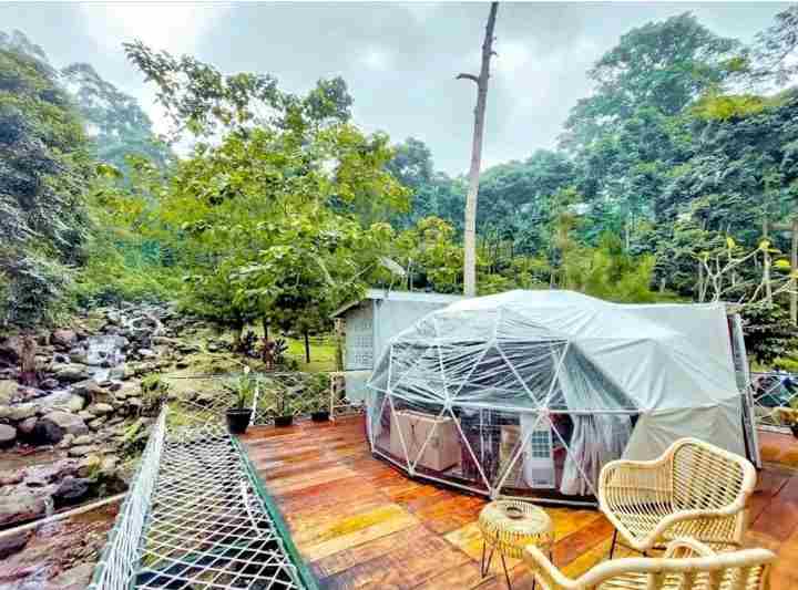 Curug Cipamingkis Glamping: Lokasi, Harga Tiket, dan Jam Buka 2023 ...