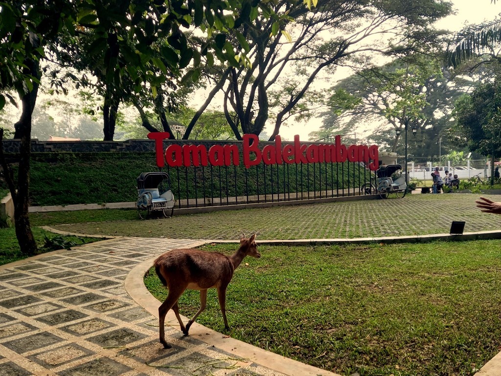 6 Tempat Wisata Sejarah di Solo Wajib Dikunjungi - Belvania Trans 6 Tempat Wisata Sejarah di Solo Wajib Dikunjungi - Belvania Trans